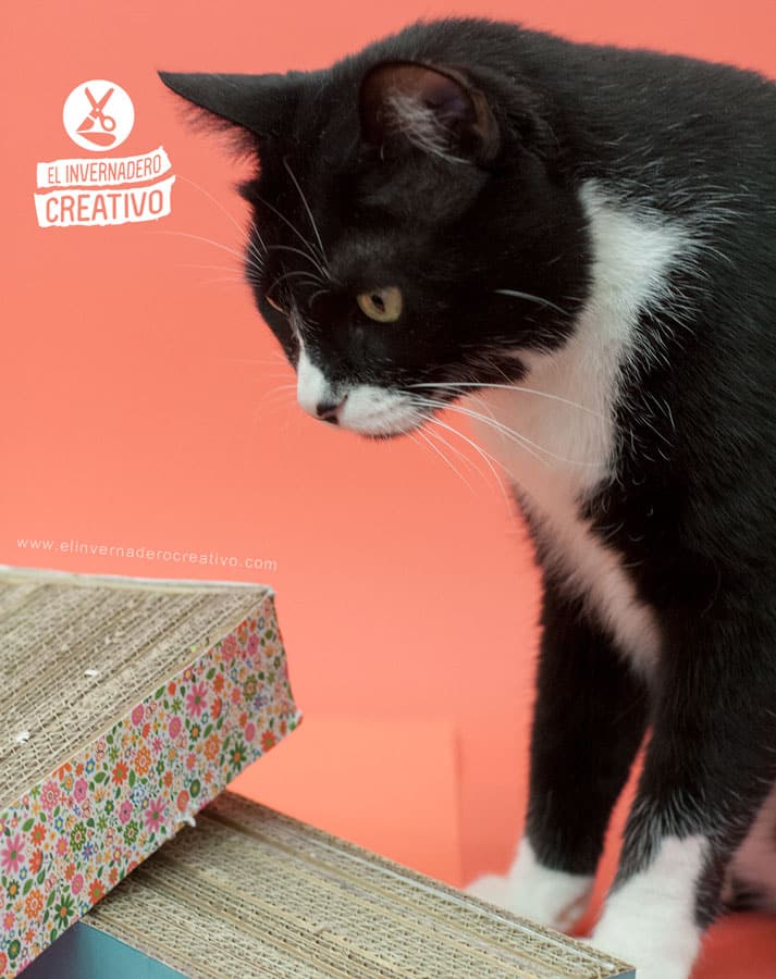 Tutorial: Rascador de cartón DIY para gatos