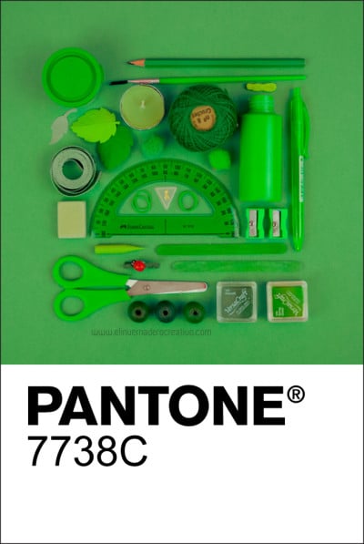 7738C-Elinvernaderocreativo - El invernadero creativo